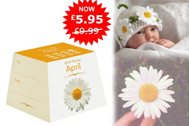 April Birthday & Occasion Flower Gift Box – Brighten someone’s day ...