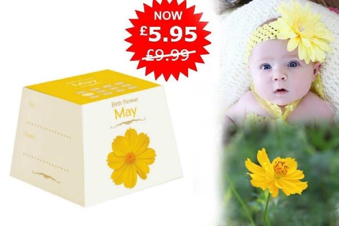 May Birthday & Occasion Flower Gift Box – Brighten someone’s day ...