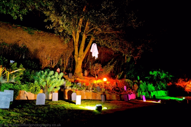 Hallowe’en Party Night at The Merton Aquadome > Jersey Rewards