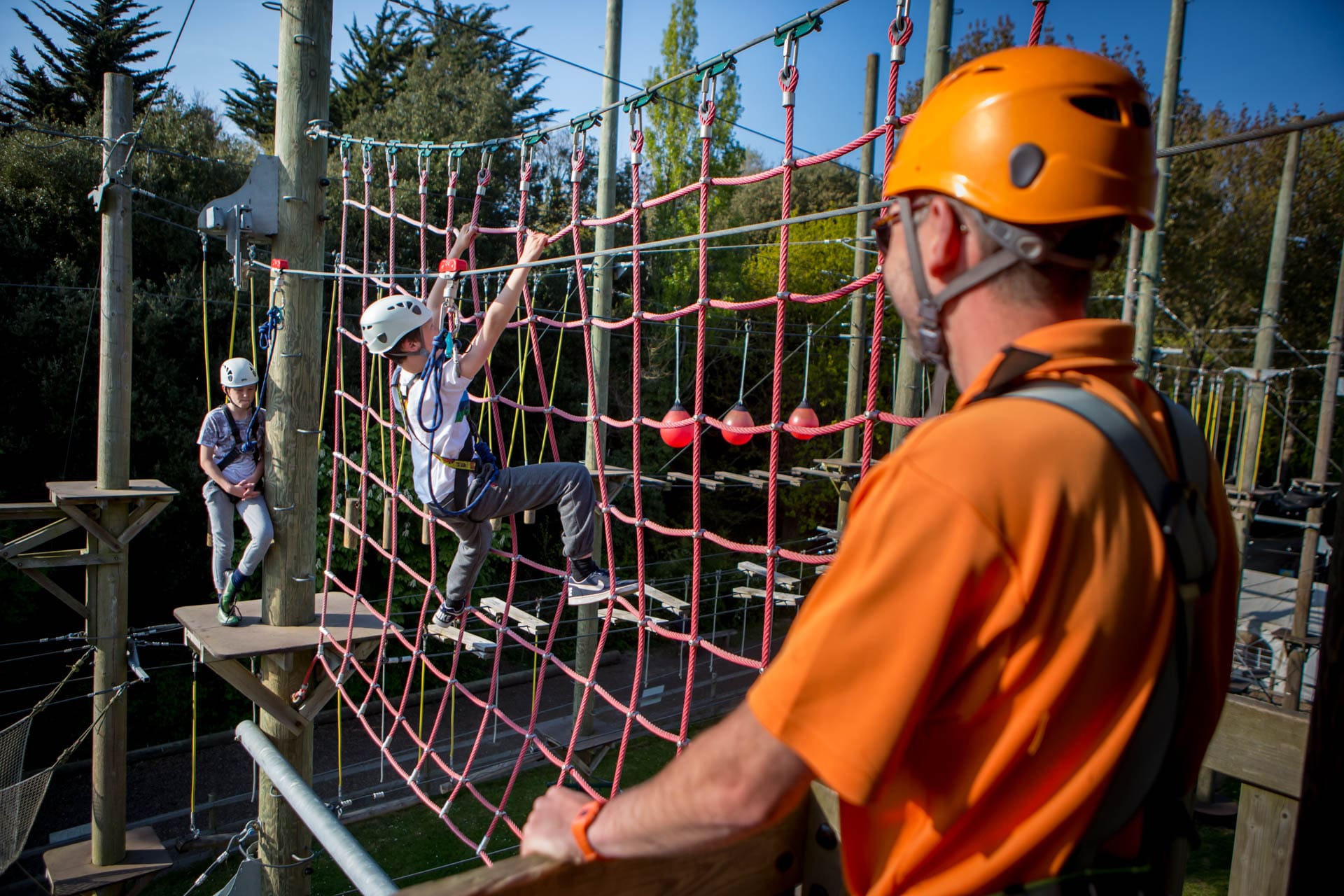 All Deals > Jersey Rewards